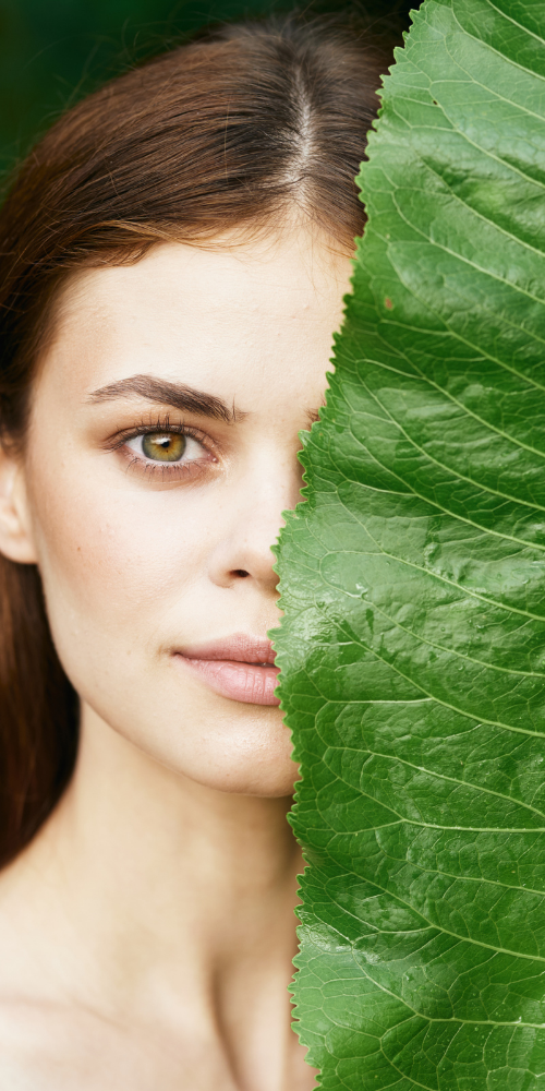 Leader in fungal and vegetal chitosan for consumer healthcare | KitoZyme