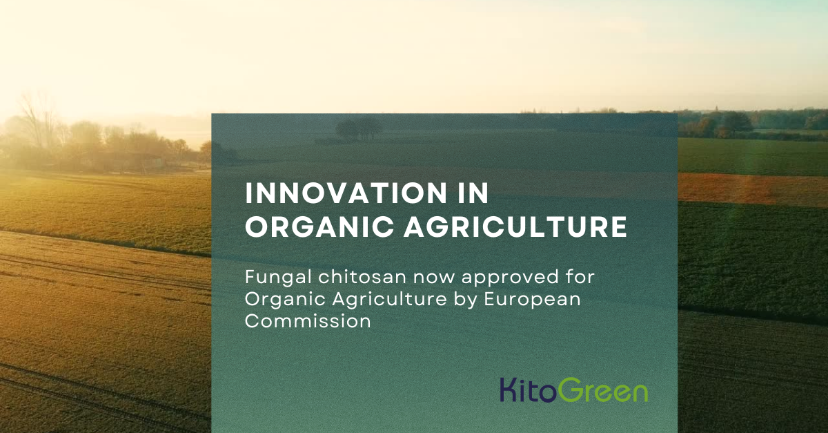 Leader in fungal and vegetal chitosan for consumer healthcare | KitoZyme