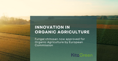 Leader in fungal and vegetal chitosan for consumer healthcare | KitoZyme