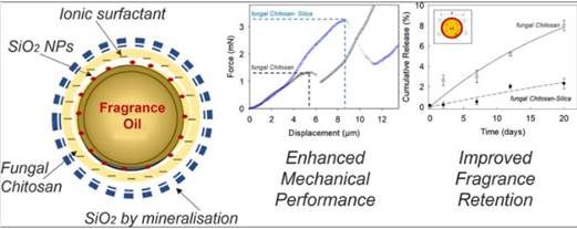 Leader in fungal chitosan | KitoZyme