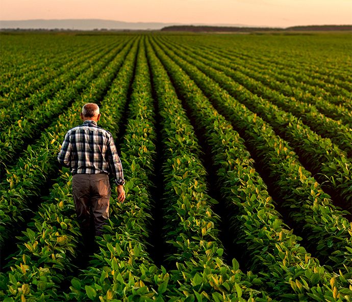 Leader in fungal chitosan | KitoZyme